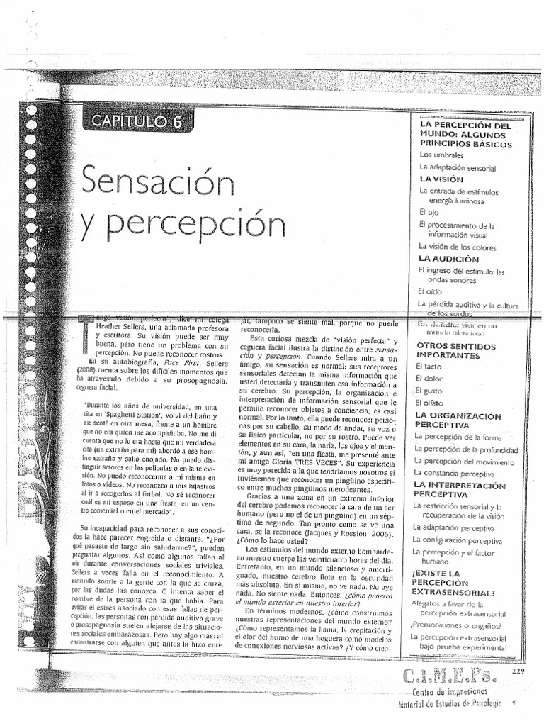 Myers Sensacion y Percepcion | PDF
