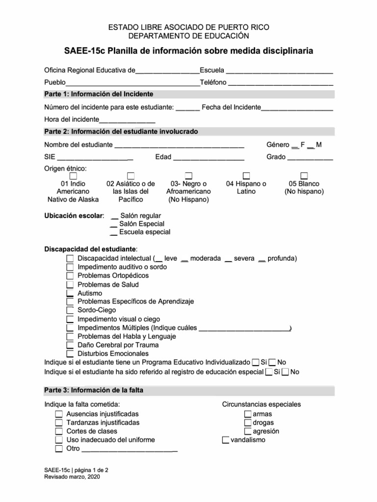 Saee 15c Planilla de Informacion Sobre Medida Disciplinaria | PDF