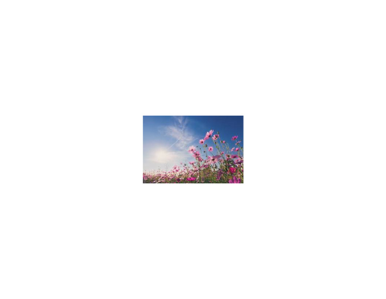 Sky | PDF