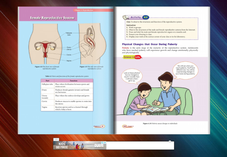 Science Textbook Form 1 | PDF