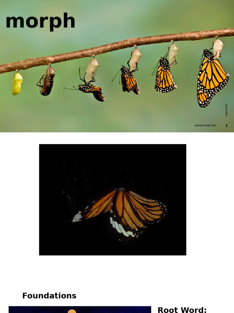 Morph - Latin and Greek Root Words | PDF