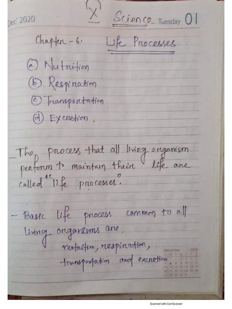 Science. Chapter -6 . Life Processes | PDF