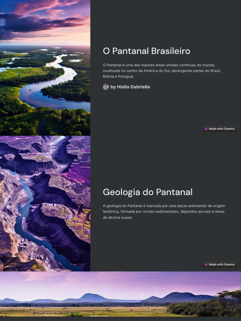 O Pantanal Brasileiro Pdf