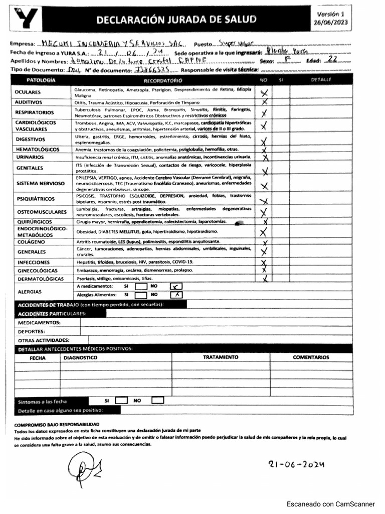 Declaración Jurada Cristel | PDF