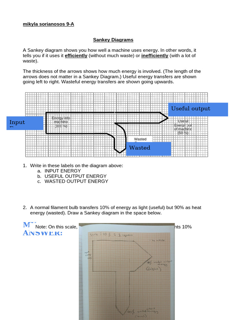 Sankey Diagrams Assignment | PDF