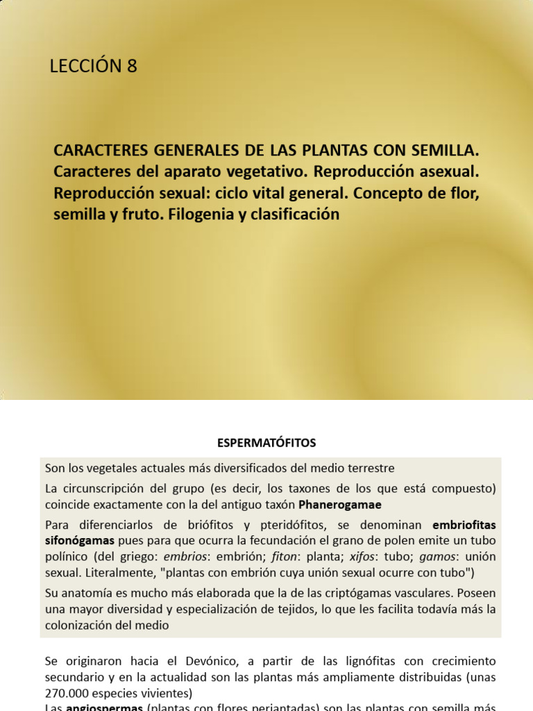 PRESENTACION LECCIÓN 8 | PDF