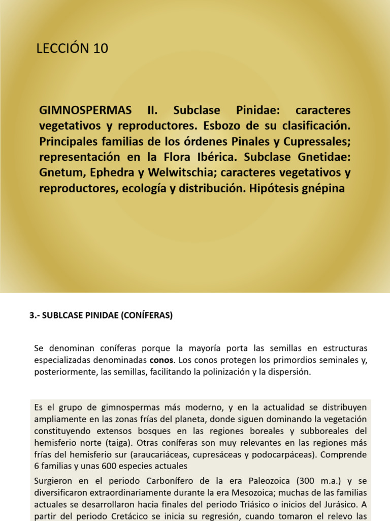 Presentacion Lección 10 | PDF