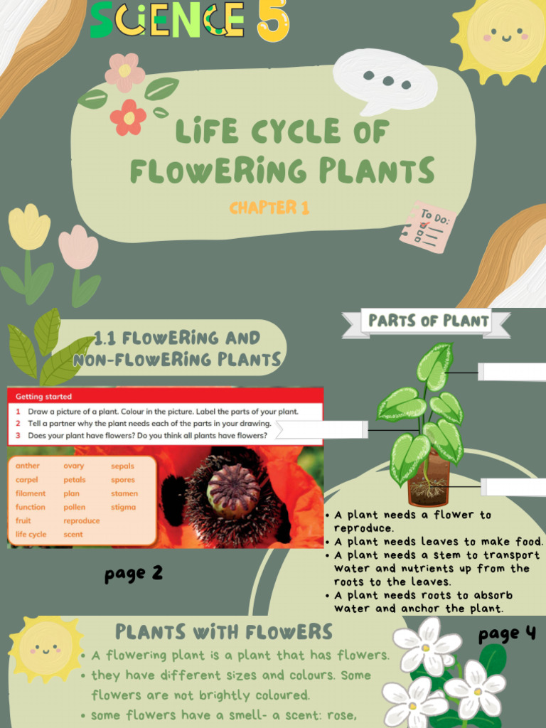Science 5 Chapter 1 - Life Cycle of Flowering Plants | PDF