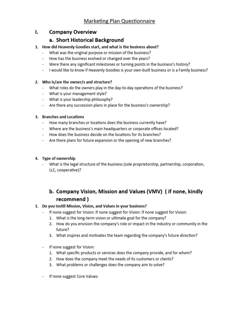 Marketing Plan Questionnaire | PDF