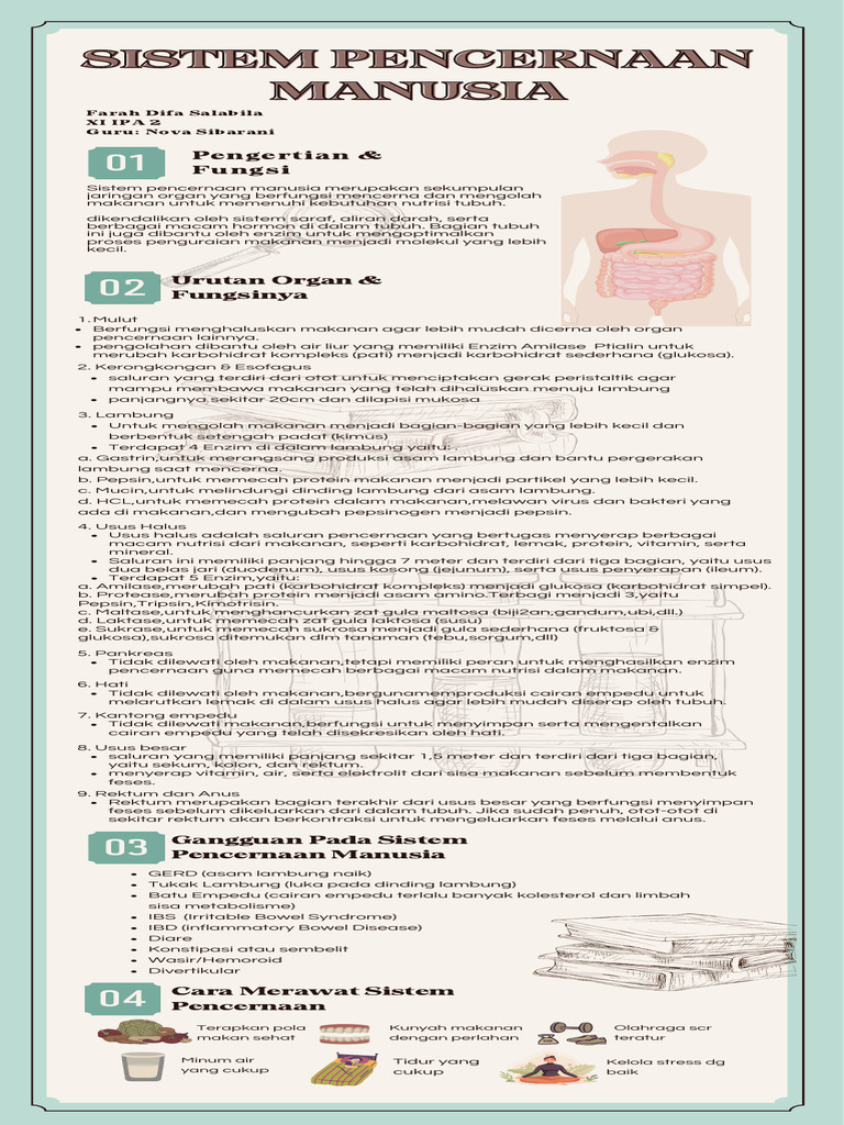 Infografis Sistem Pencernaan Manusia | PDF
