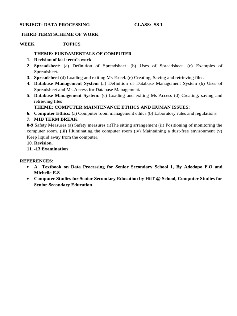 SS One 3rd Term Data Processing | PDF
