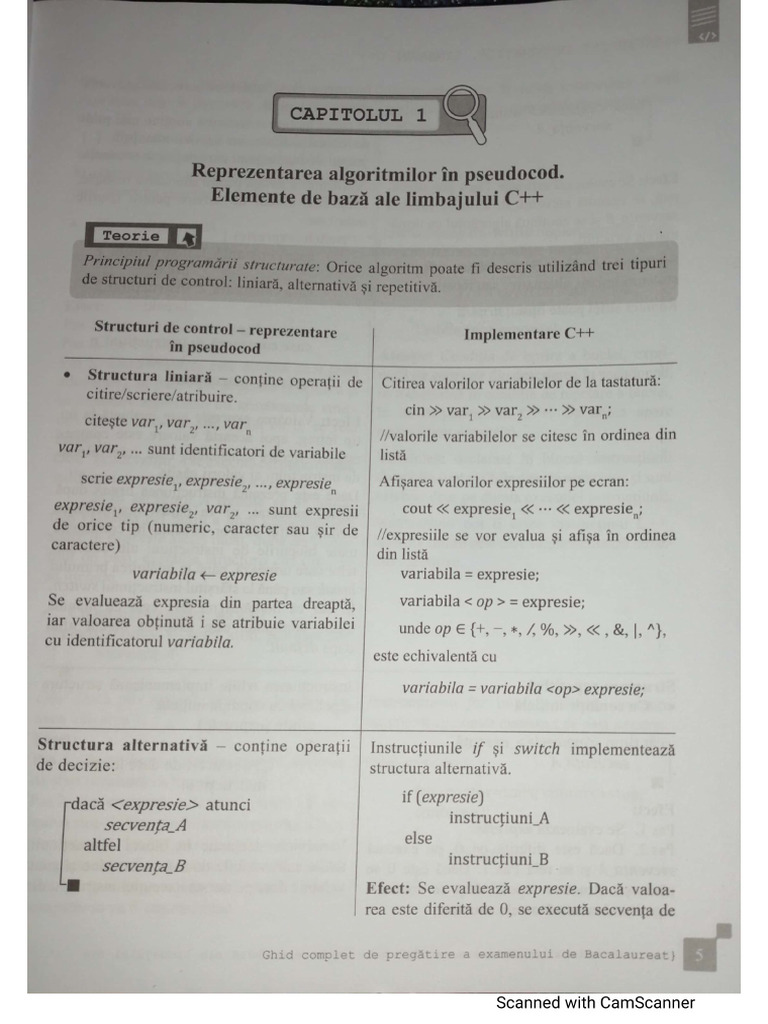 Bac Info Elente de Baza C++ | PDF