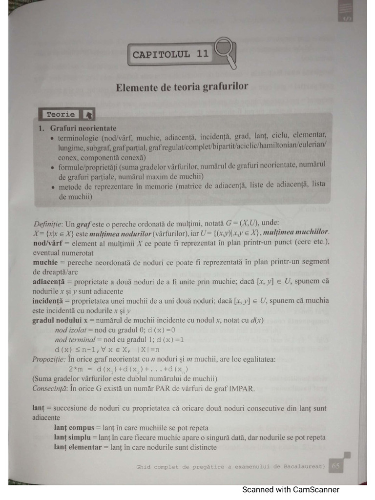 Bac Info Grafuri | PDF