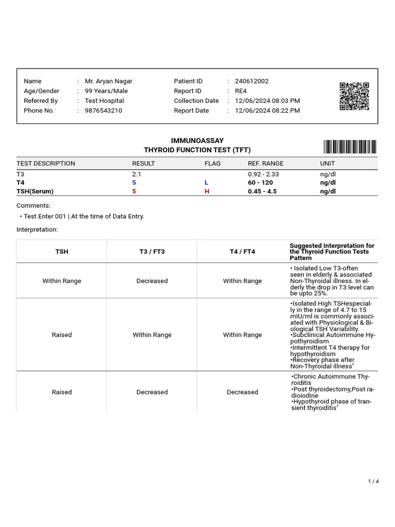 Test Report Sample | PDF
