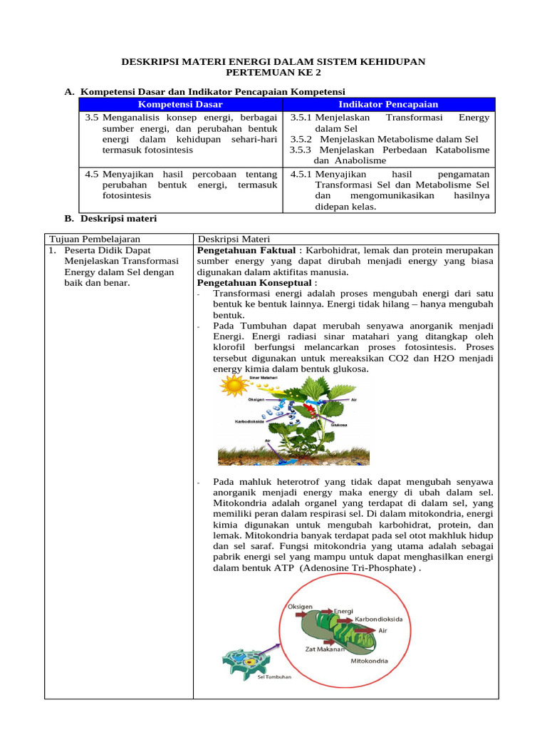 Deskripsi Materi Energi Dalam Sistem Kehidupan | PDF