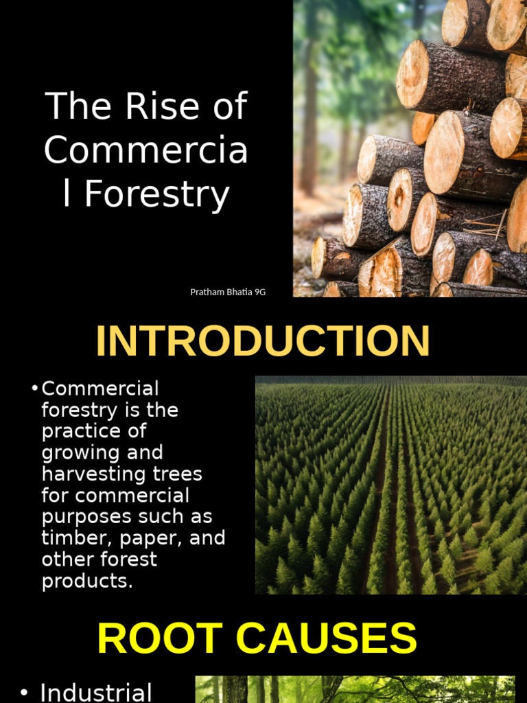 Commercial Forestry | PDF