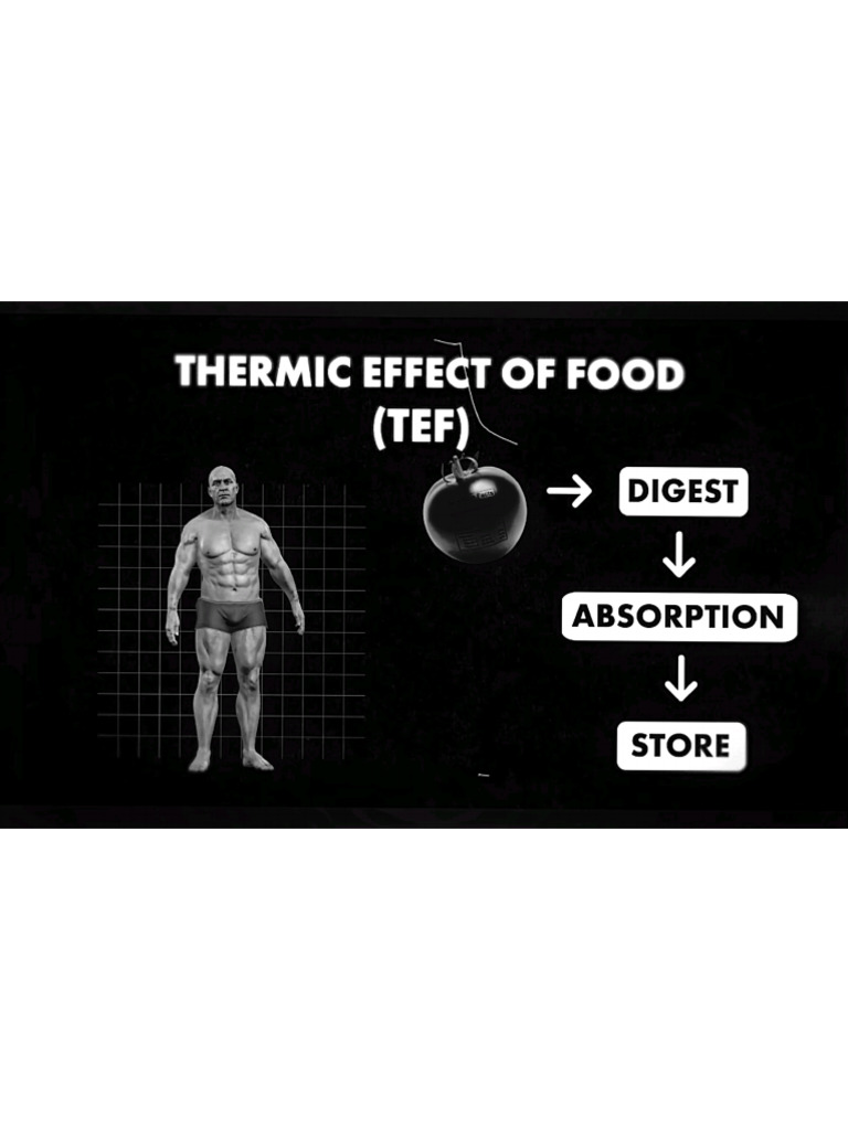 Thermic Effect of Food | PDF