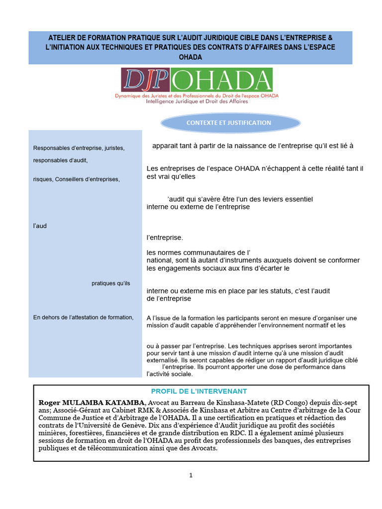 Audit Programme | PDF