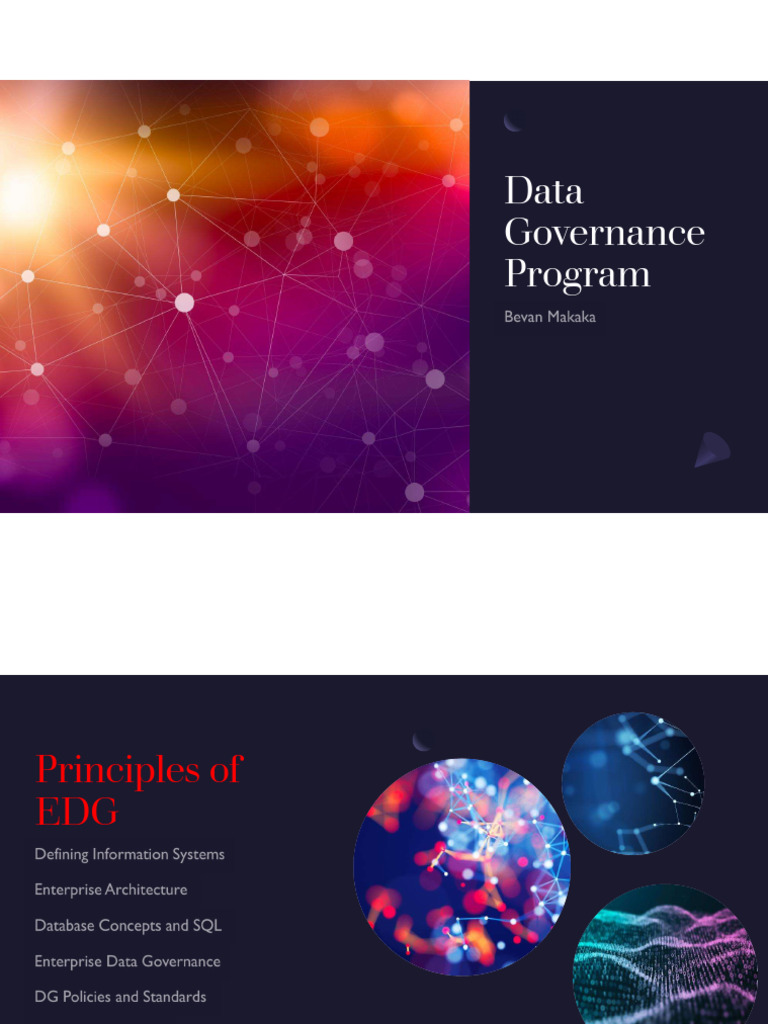 Data Governance Program | PDF