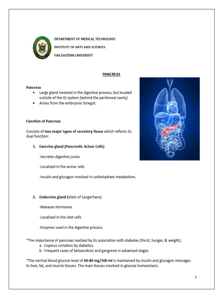 Pancreas 1 | PDF