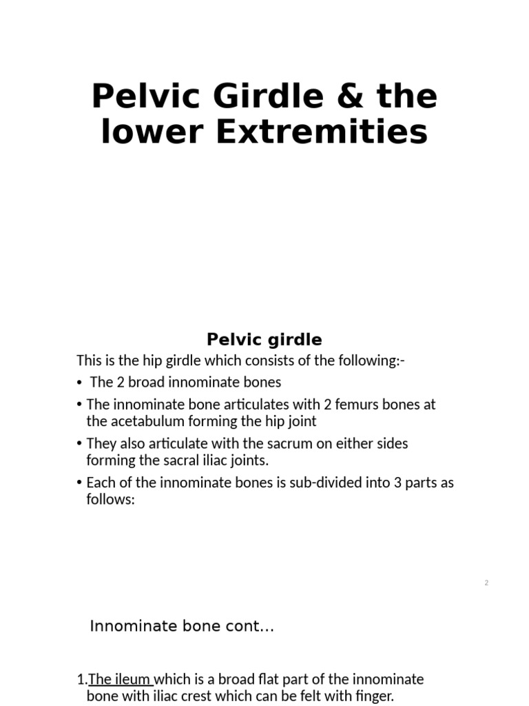Pelvic Girdle & The Lower Extremities | PDF