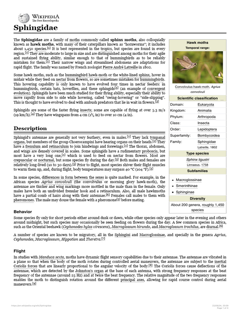 Sphingidae - Wikipedia | PDF