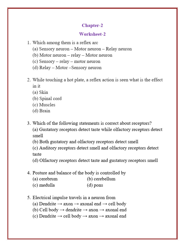 Control and Coordination WS2 | PDF | Neuron | Hormone