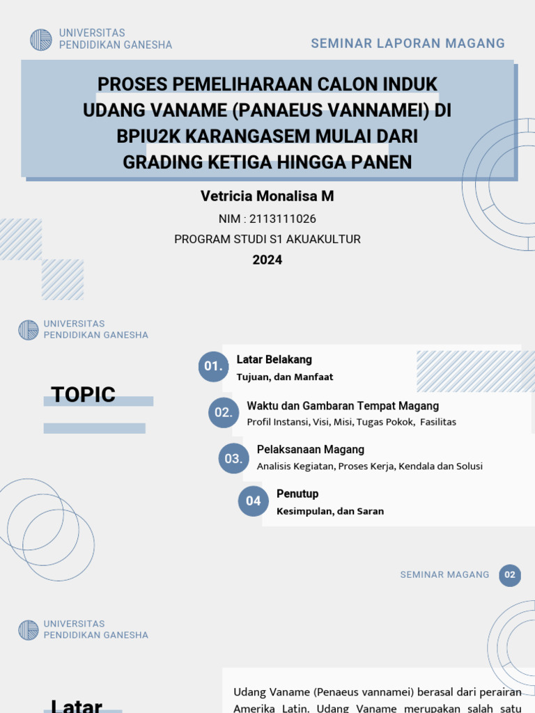 PPT Mona cantik | PDF