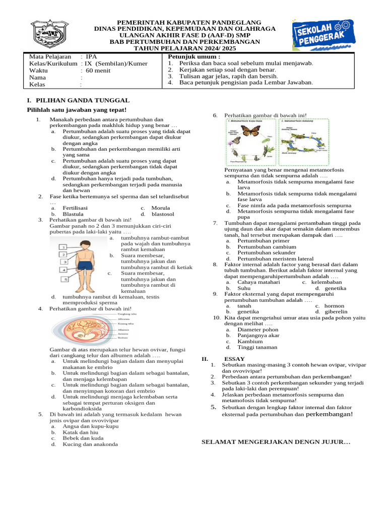 Dokumen Dari Richa | PDF