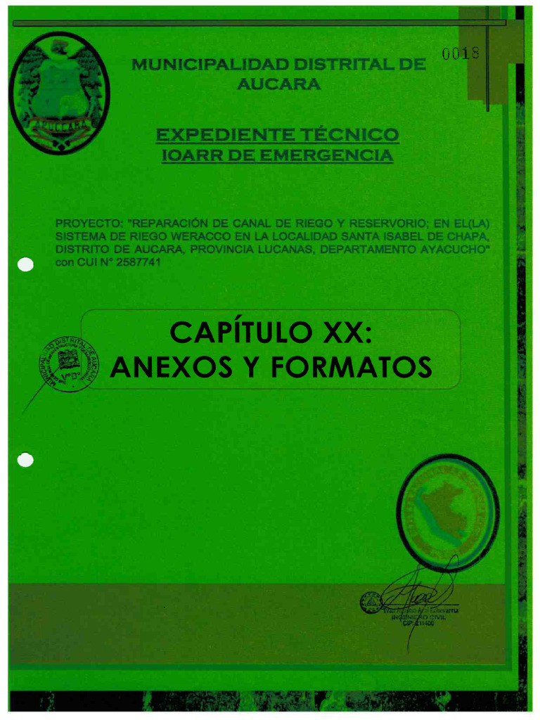 ANEXOS Y FORMATOS | PDF
