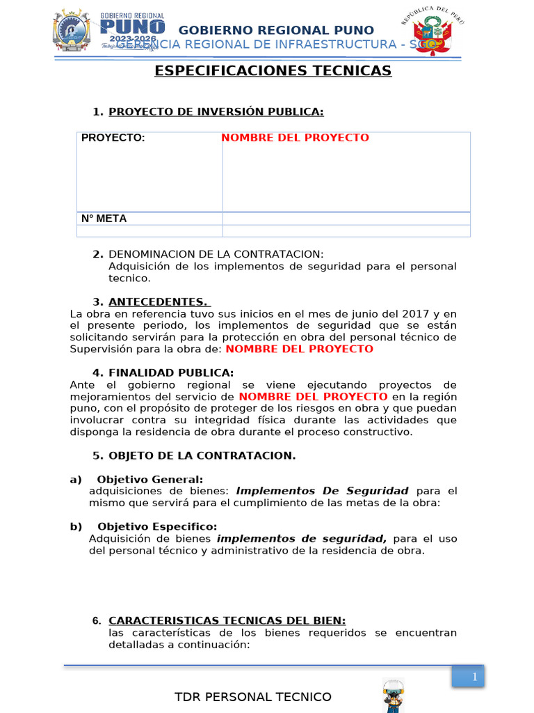 °TDR EPP PERSONAL TECNICO - SGO. | PDF