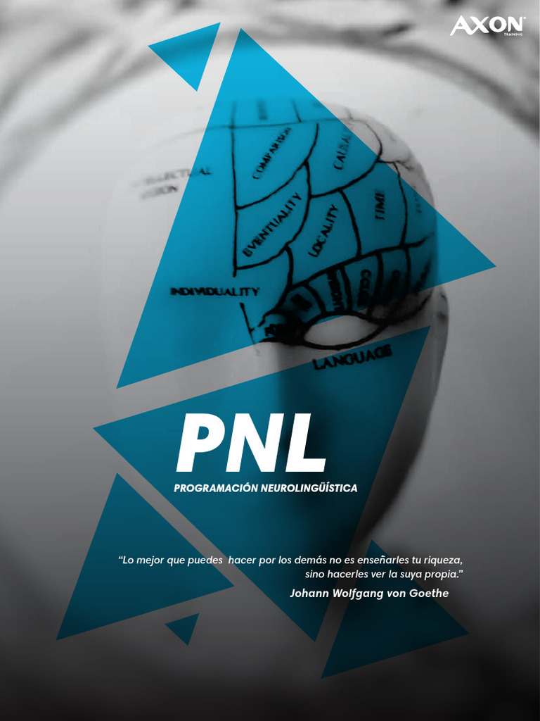 Axon Paper de PNL | PDF