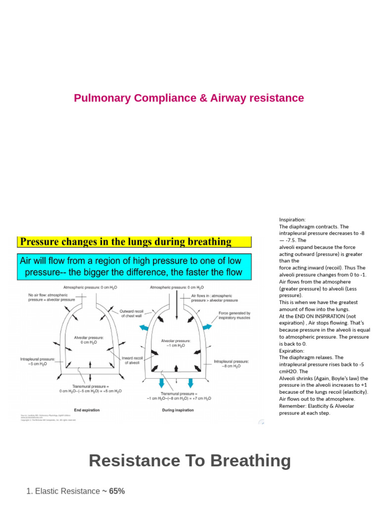 Pulmonary Compliance & Airway Resistance 2 | PDF