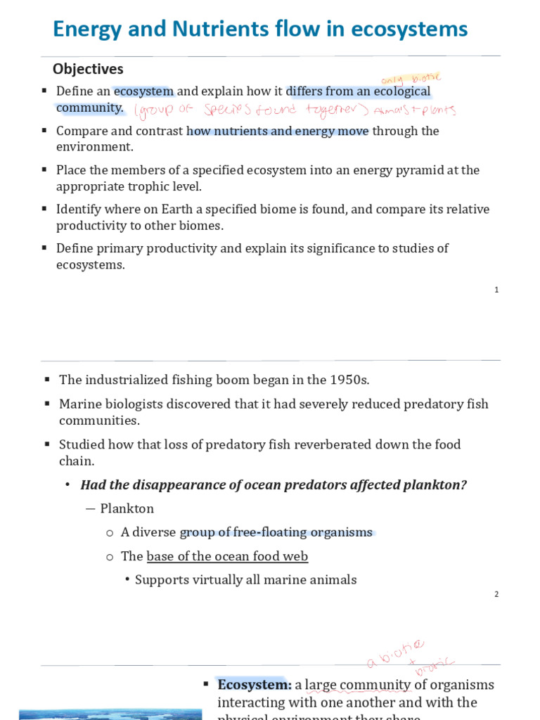 7.2 Energy and nutrients flow in ecosystem | PDF