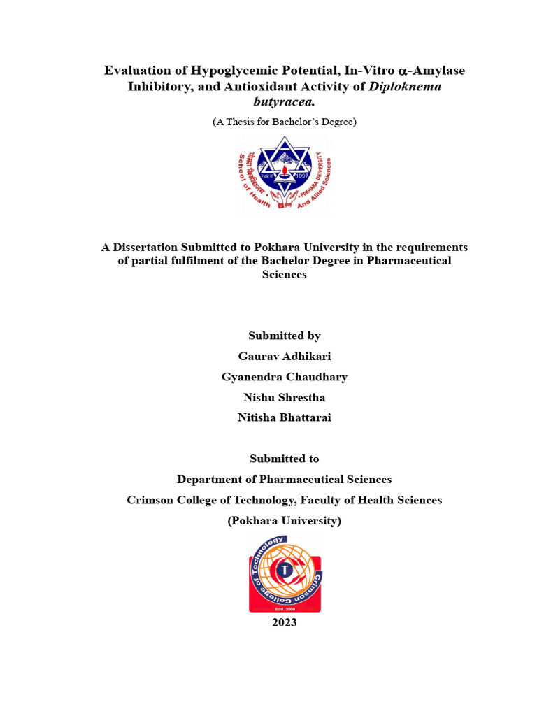 Revised Final Thesis | PDF