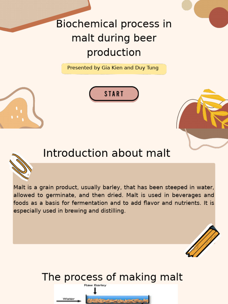 Biochemical Process of Malt in Beer Production | PDF