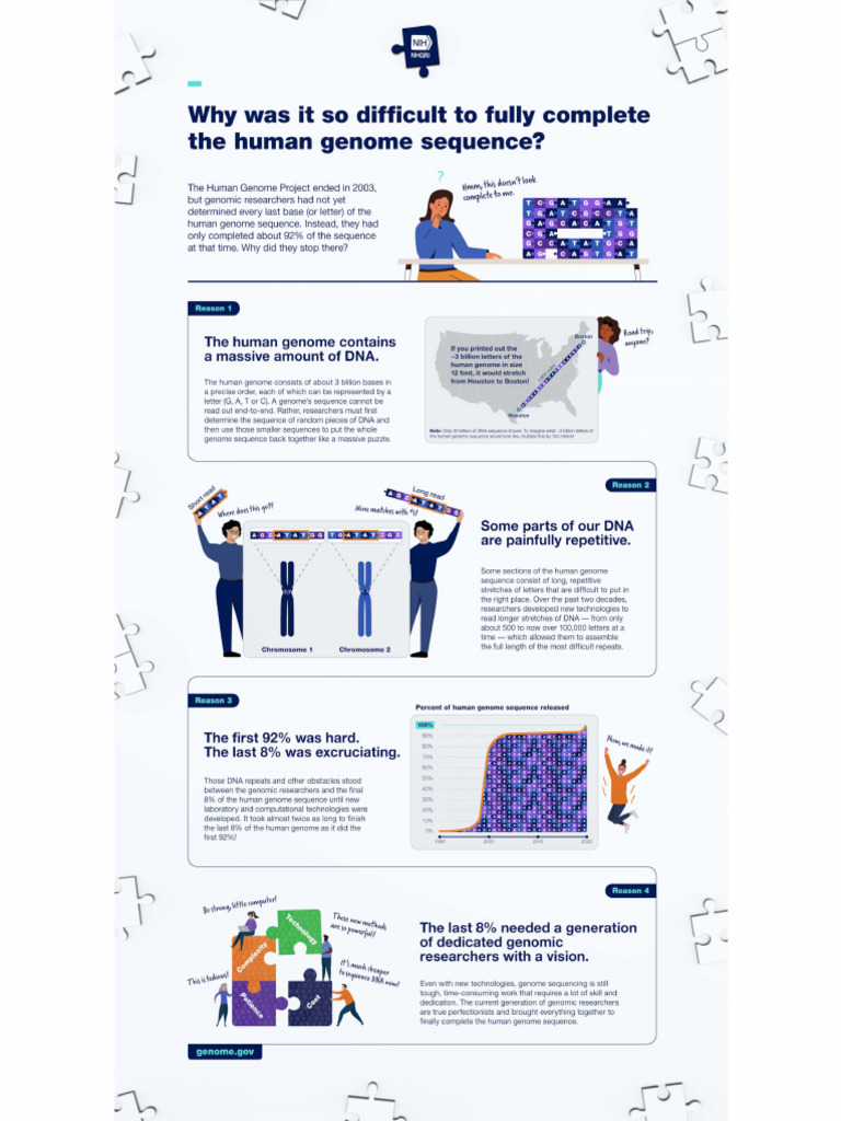 NHGRI T2T Infographic | PDF | Genome | Human Genome