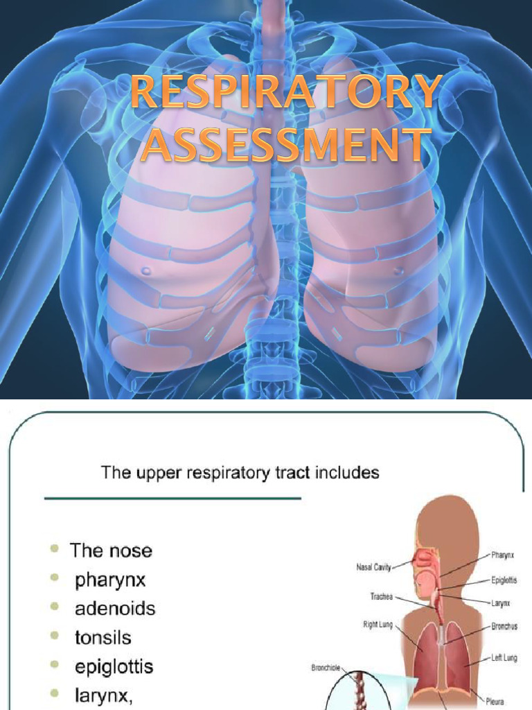 Respiratory Assessment - 24-25 | PDF