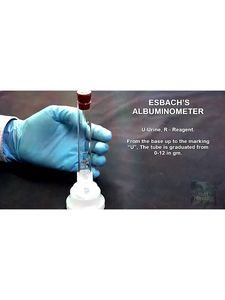 Pathology Spotters | PDF