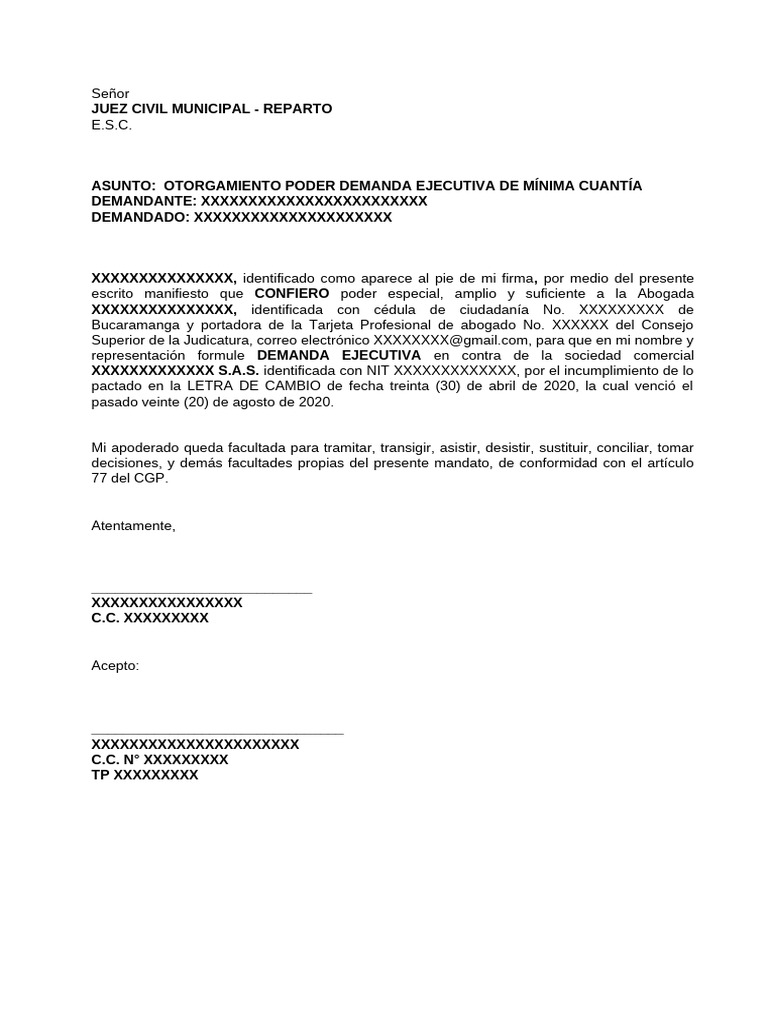 Poder Demanda Ejecutiva | PDF