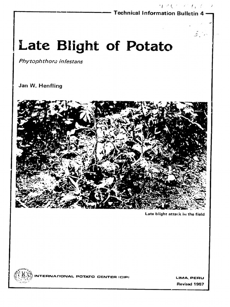 Late Blight of Potato | PDF