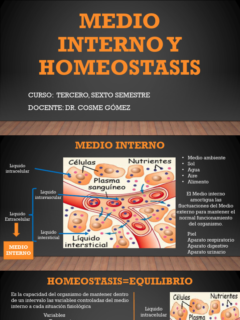 Medio Interno - Homeostasis Patologia | PDF | Medical Specialties