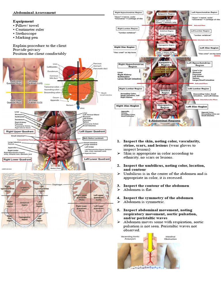 Comprehensive Guide to Abdominal Assessment | PDF | Abdomen | Pulse