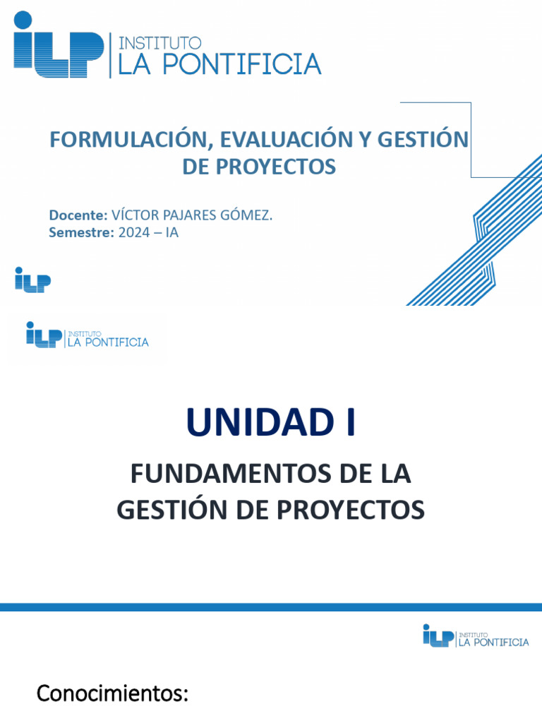 S2-CT - Grupos de Procesos y Áreas de Conocimiento | PDF