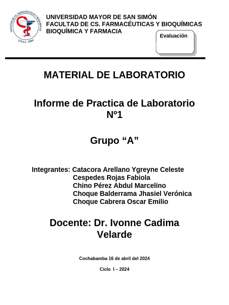 INFORME MATERIAL DE LABORATORIO | PDF