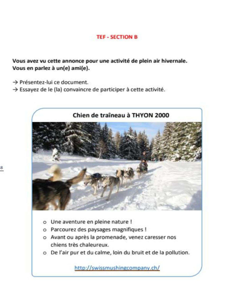 Tef Speaking 9 | PDF