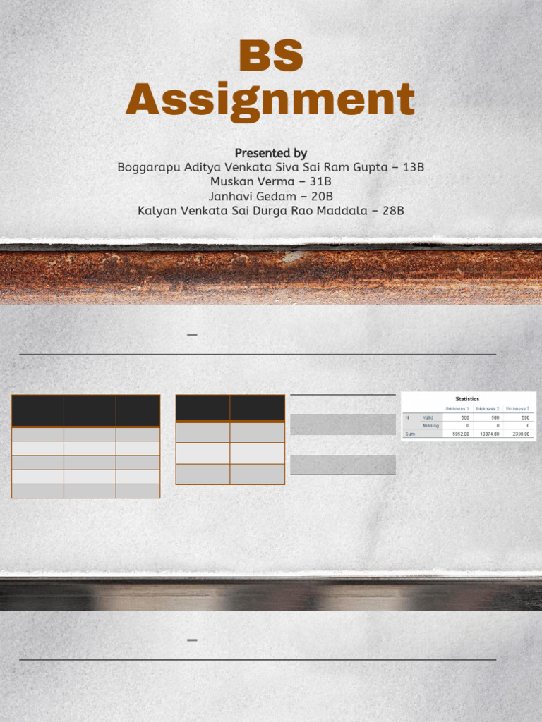 Group 10 - BS Assignment | PDF