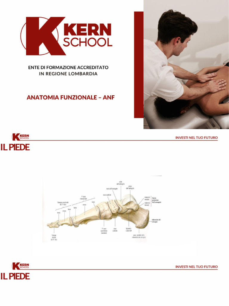 ANF - Caviglia e Piede | PDF