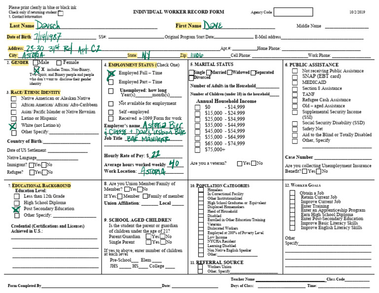 Fillable Intake Form in PDF Format 4.4 | PDF | Race And Ethnicity In ...