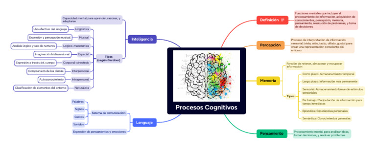 Procesos Cognitivos MAPA MENTAL | PDF | Pensamiento | Memoria